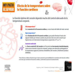 Lo que es demasiado bajo de una frecuencia cardíaca mientras duerme